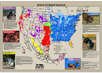 JAKES Program - The National Wild Turkey Federation