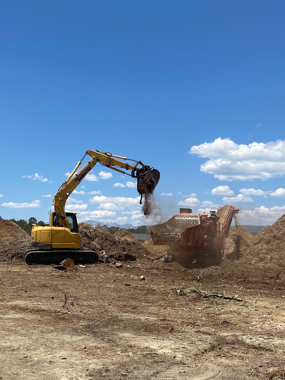 An Innovative Approach to Sustainable Forest Waste Management - The ...