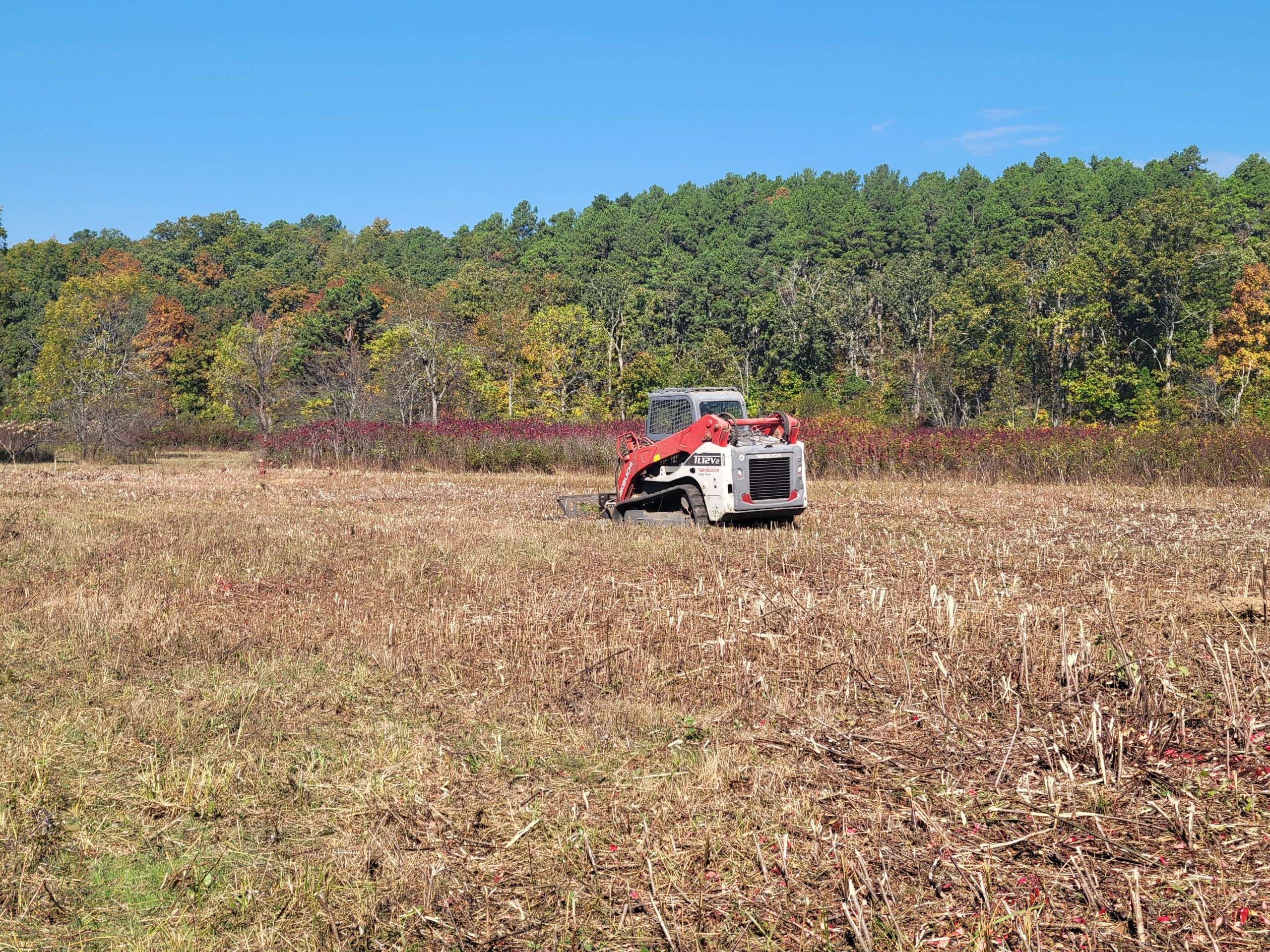 Restoring the Landscape for Turkeys and Turkey Hunters in Missouri’s ...